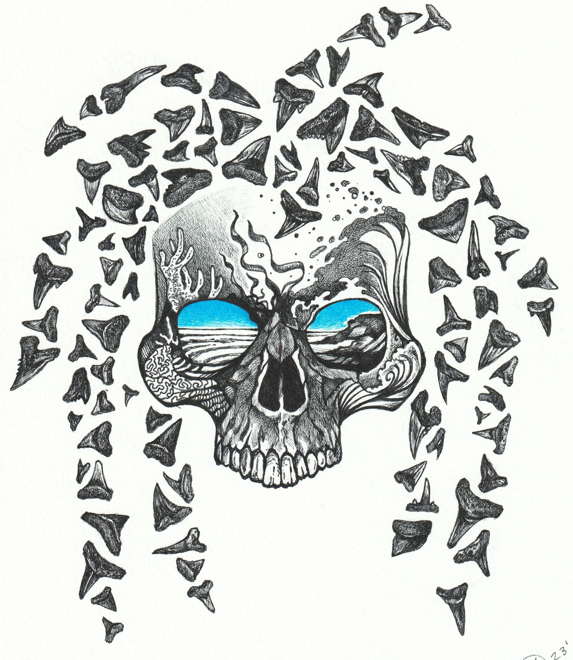dread head shark tooth decal – The Fossil Market